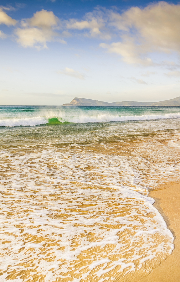 Neck Bay by Jorgo Wall Art