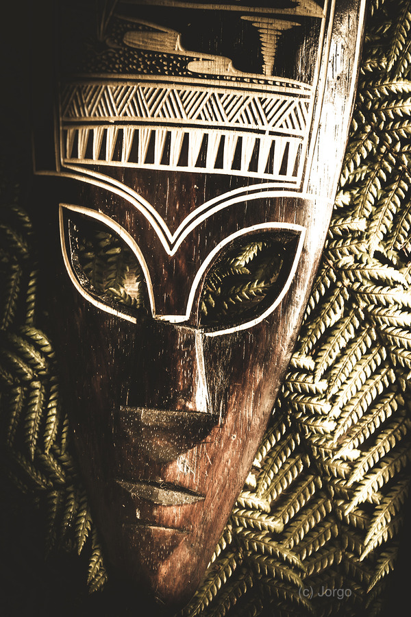 Rainforest tribal mask by Jorgo Wall Art