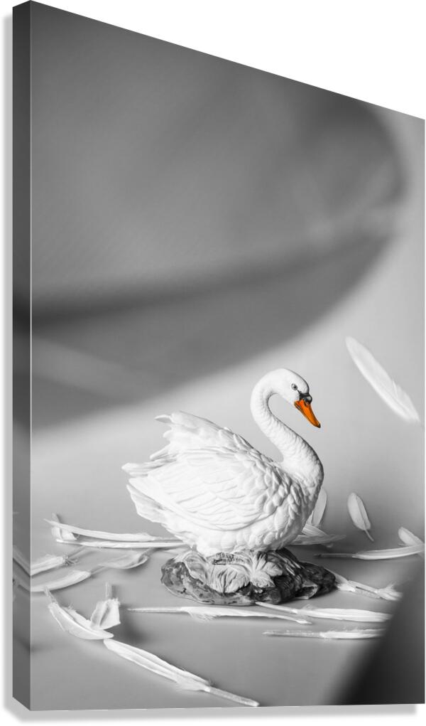 Obscured by floating feathers by Jorgo Wall Art