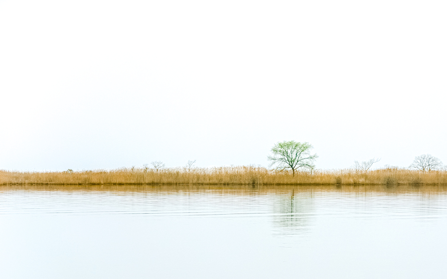 Hints of Spring by Reflective Photography Wall Art