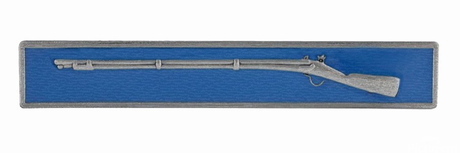 Expert Infantryman Badge by ArmyFacts com Wall Art