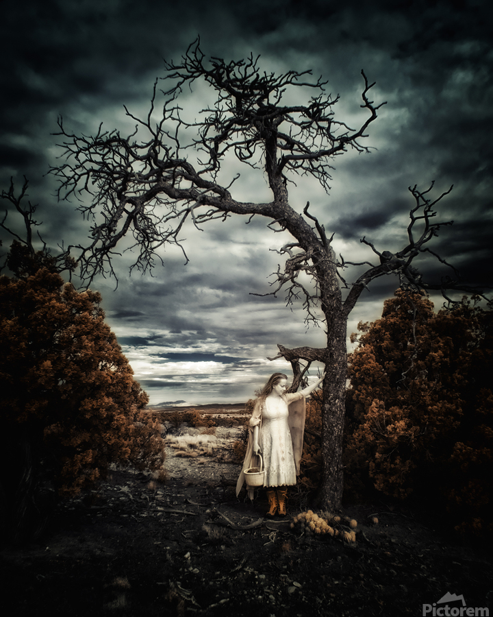 Kiki Portal Tree by Stephen K Hartley Wall Art