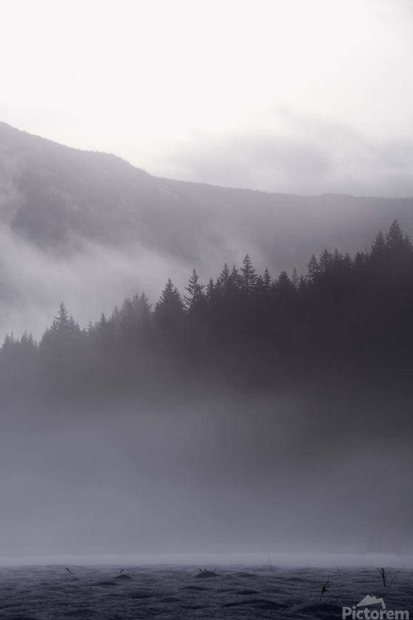 Mist in the Valley by Whitney Barkman Photography Wall Art