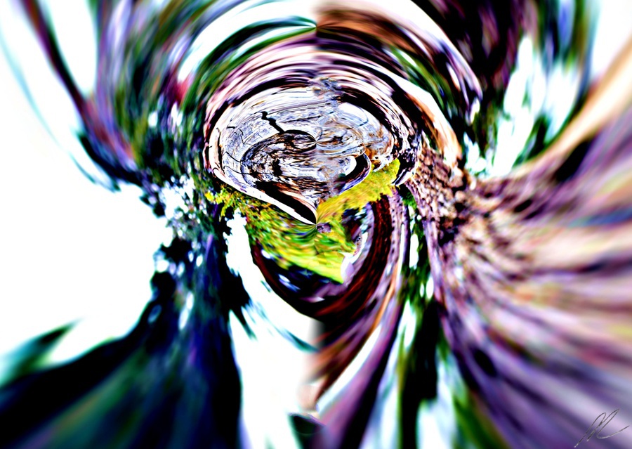 Log through Water Lens by Bluewater Artistry Wall Art