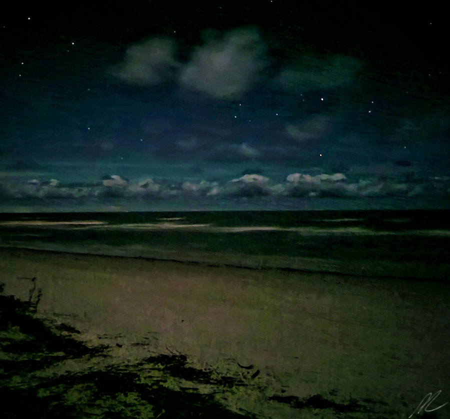 Starry Shore by Bluewater Artistry Wall Art