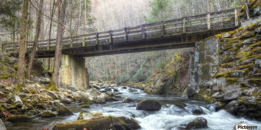 2-2 Bridge Over Rushing Water by Paul Winterman Wall Art
