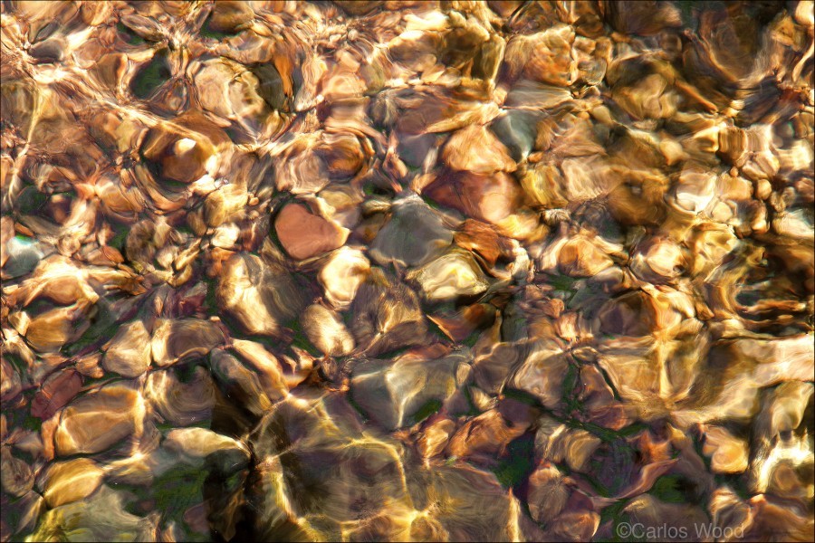 Reflex - X by Carlos Wood Wall Art