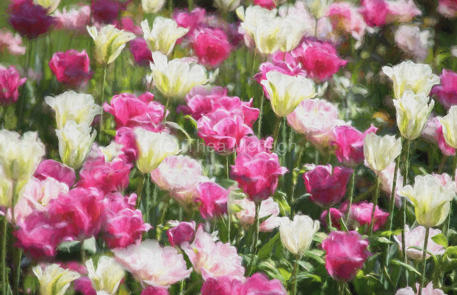 A Beautiful Garden Every Season by Thea Menagh Wall Art