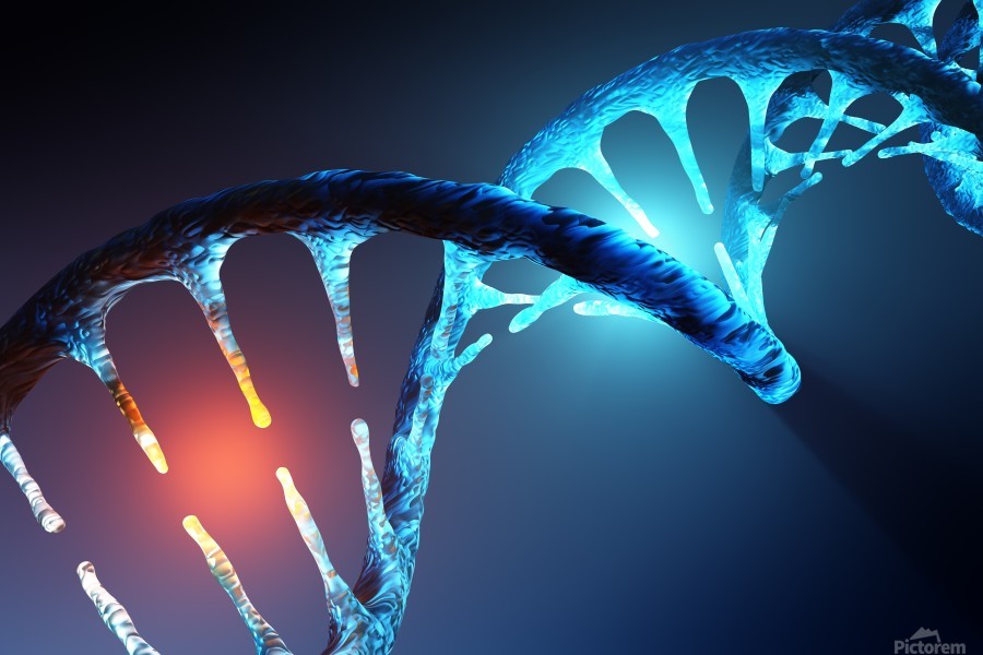 DNA strand modification par Johan Swanepoel