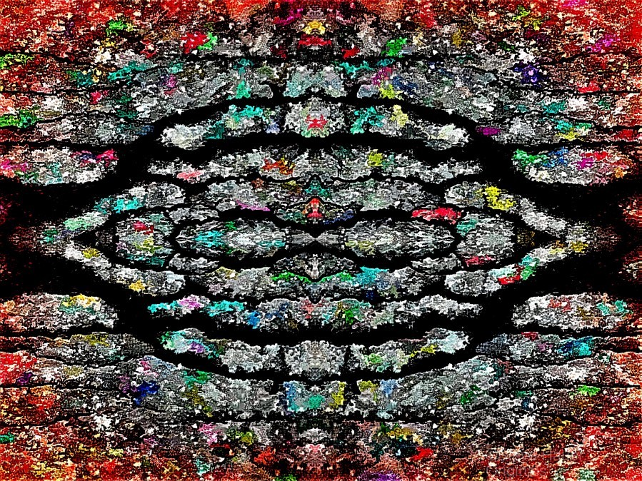 AMOEBA • Roade Art Collection by Steve Hauer - Originals Wall Art