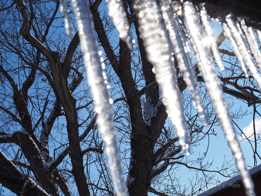 Ice cycle Melt by P E Hale Wall Art