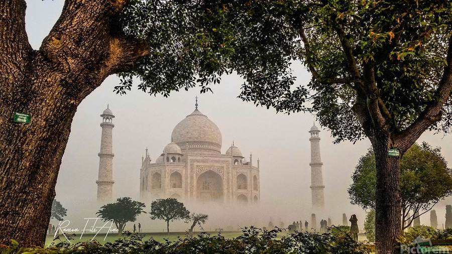 Taj mahal in the trees S by DomaraArtscape Wall Art