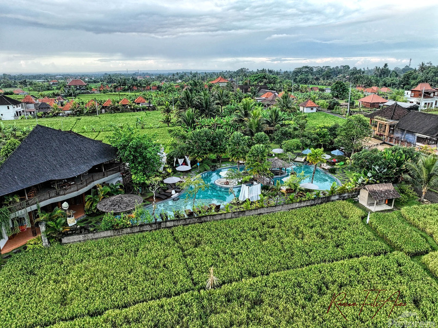 Ubud openfield by DomaraArtscape Wall Art