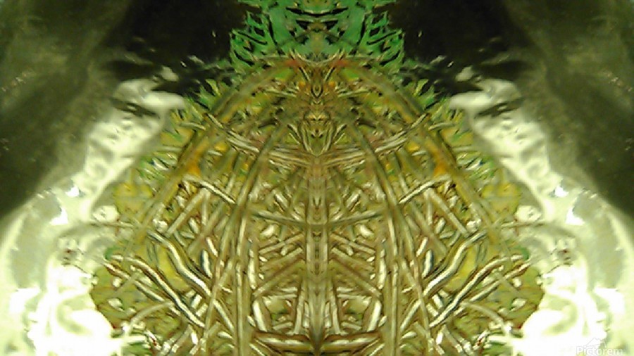 1539056797847 by Doan May Wall Art