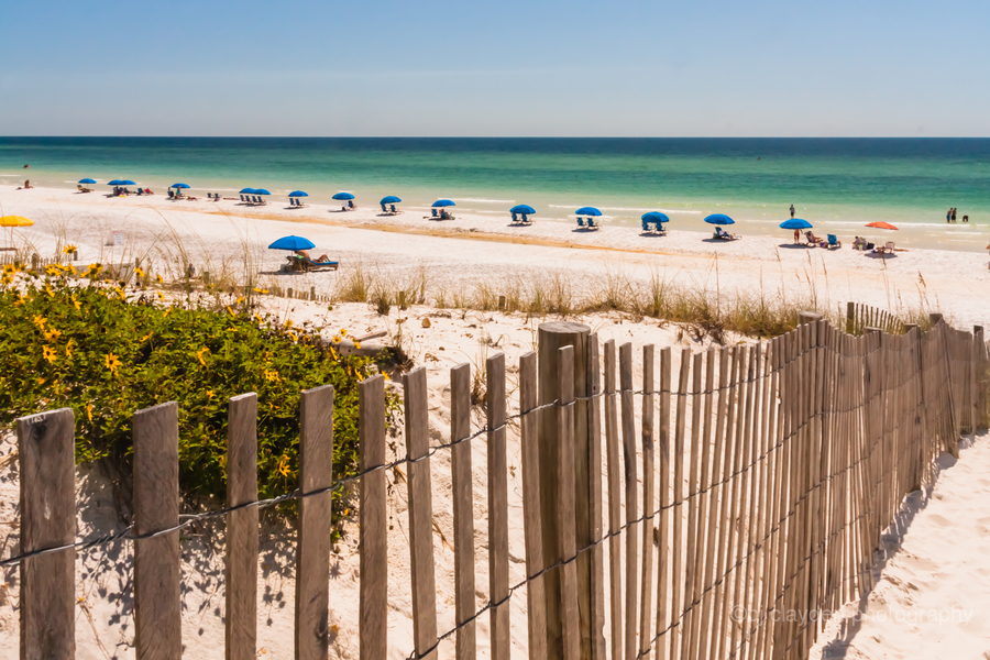 White Sand Beach on the Gulf of Mexico by bj clayden photography Wall Art