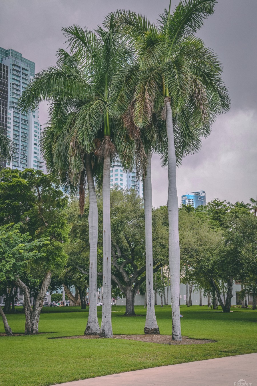 0A4A0613 par Teymur Ayyubov