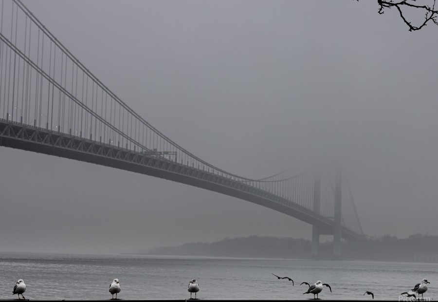 0A4A2895 by Teymur Ayyubov Wall Art