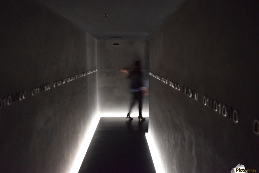 Australian Ghost by Jarrod Sammis Wall Art