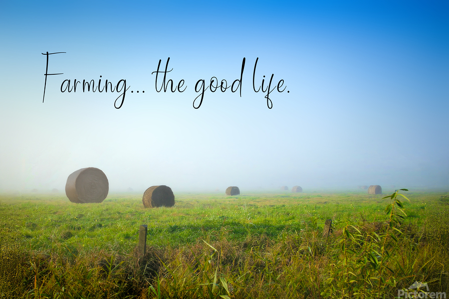 Farming in Appalachia The Good Life by Shelia Hunt Photography Wall Art