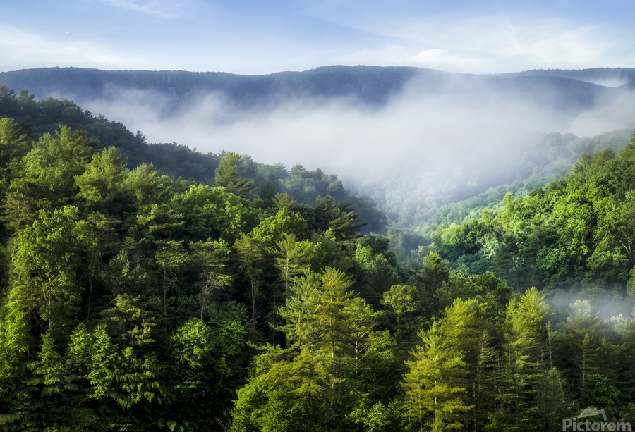 The Appalachian Mountains by Shelia Hunt Photography Wall Art