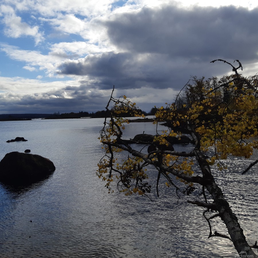 Fallen by Kaitlen Crocetti Wall Art