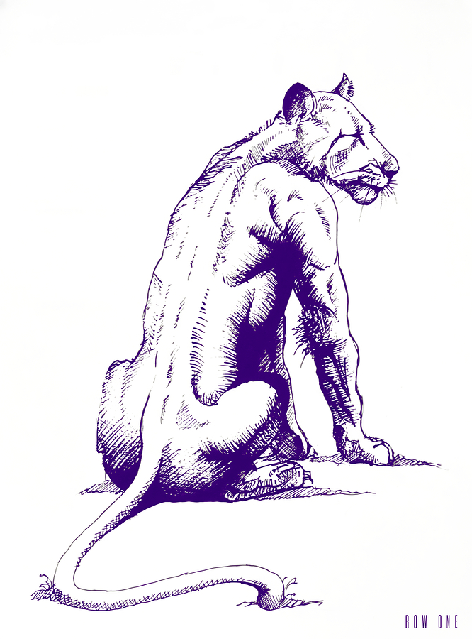 1980s Retro Arvada Wildcat Art by Row One Brand Wall Art