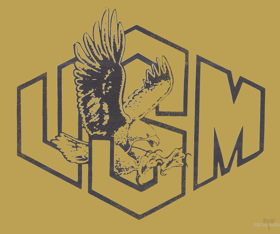 1985 USM Southern Miss Golden Eagle Art by Row One Brand Wall Art