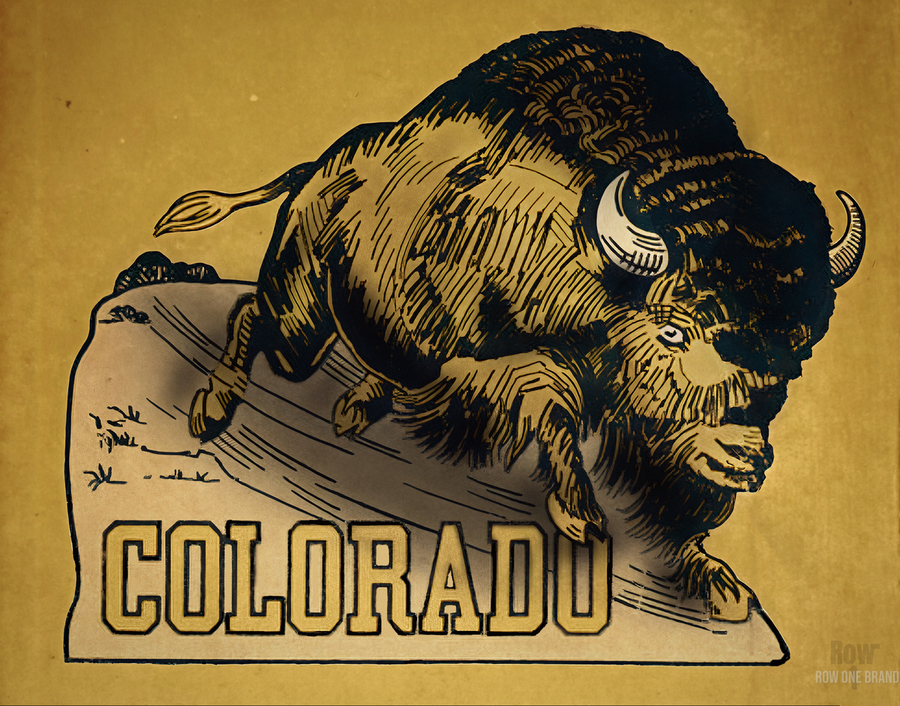 Vintage Colorado Buffalo Art by Row One Brand Wall Art