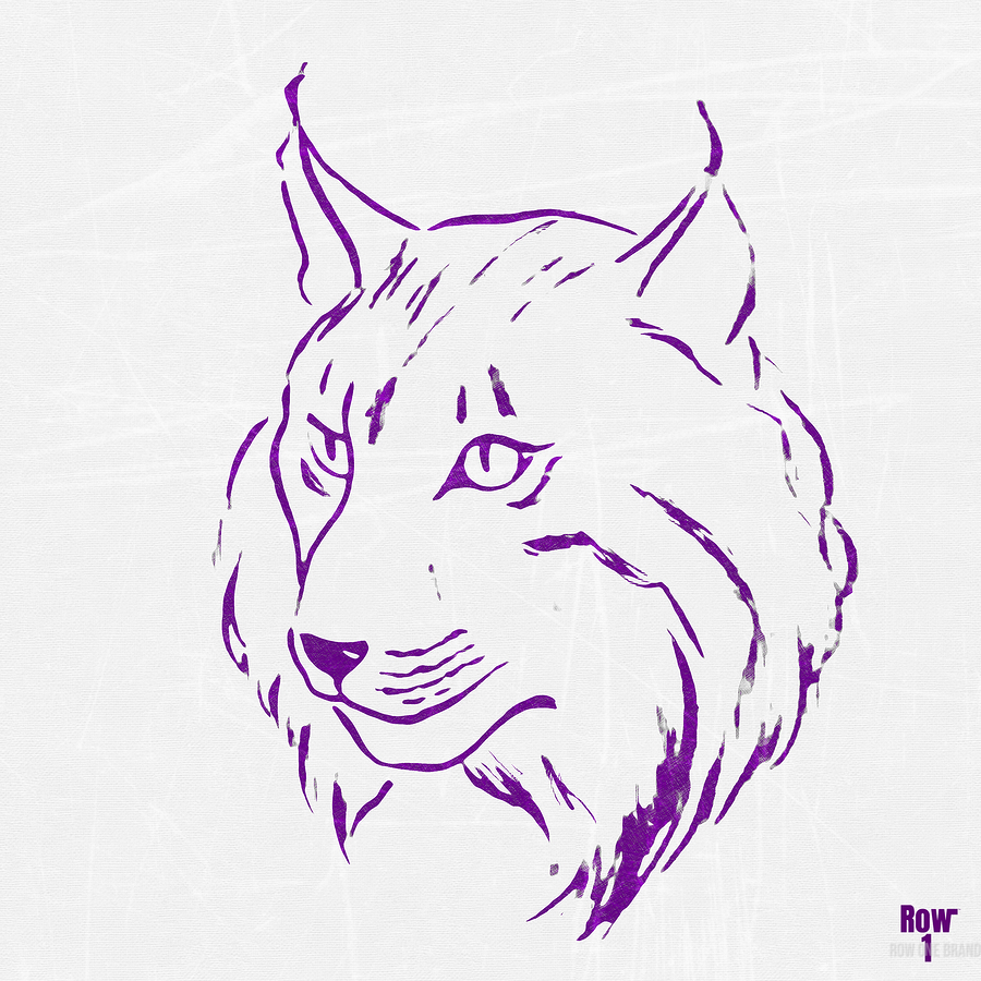 Throwback Northwestern Wildcat Art by Row One Brand Wall Art