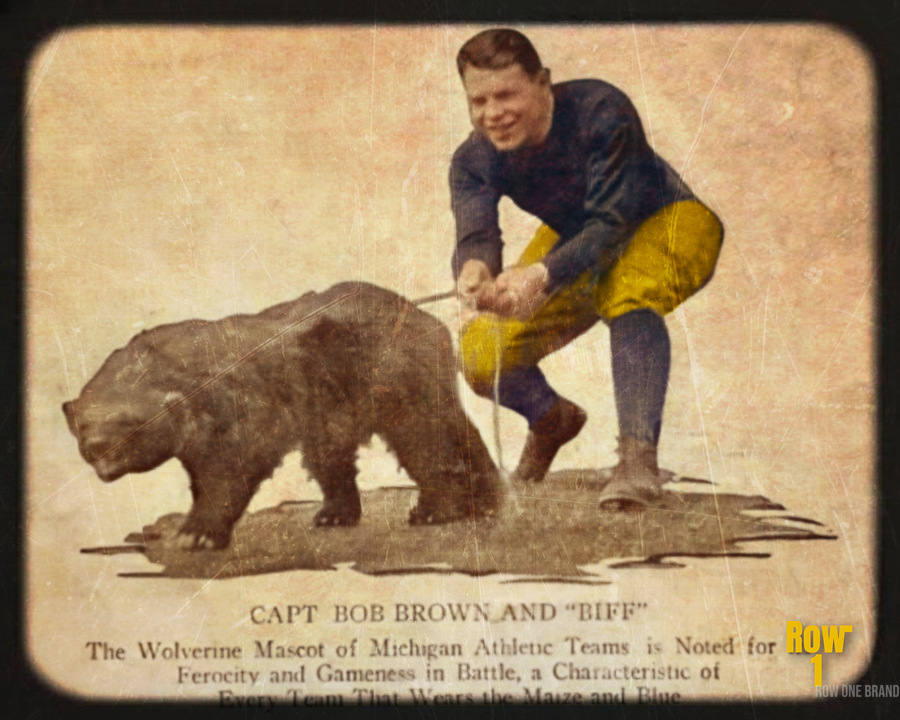 Michigan Wolverine Biff Viewfinder Art by Row One Brand Wall Art