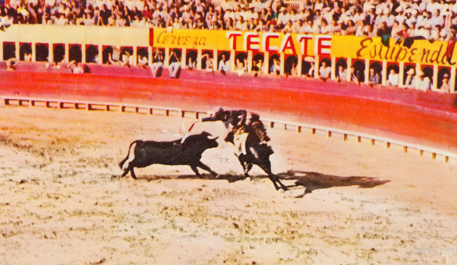 Vintage Bullfighting Art by Row One Brand Wall Art