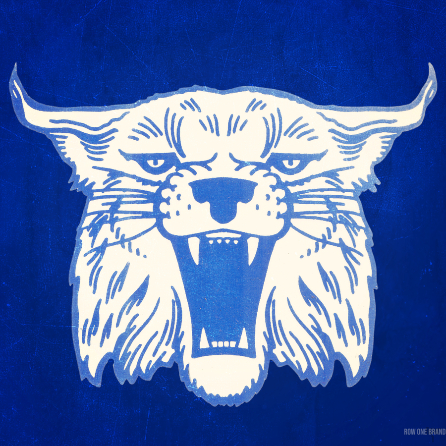 wildcat logo