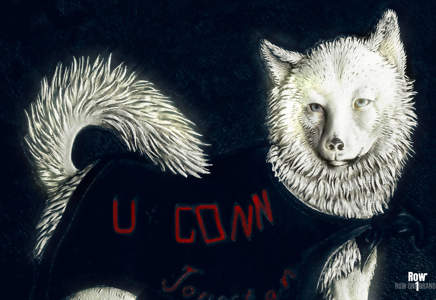 vintage uconn husky jonathan art by Row One Brand Wall Art