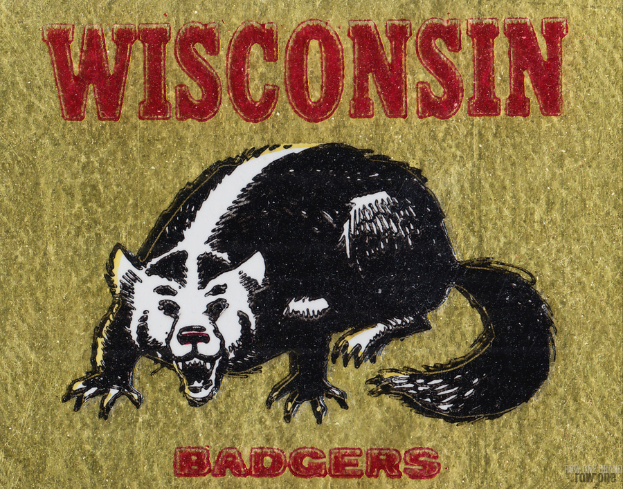 old badger
