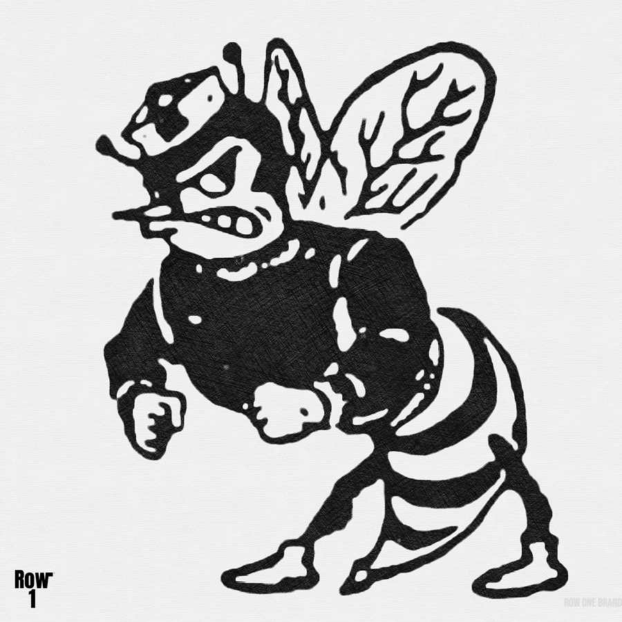 cartoon yellow jacket