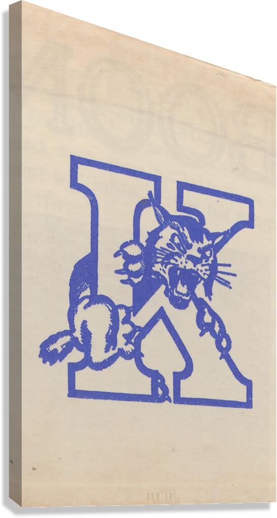 1969 Kentucky Wildcat Art by Row One Brand Wall Art