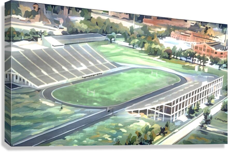 1940s Owen Field Stadium Art by Row One Brand Wall Art