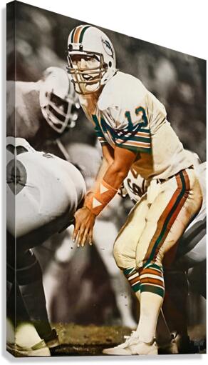 1984 Dolphins Super Bowl