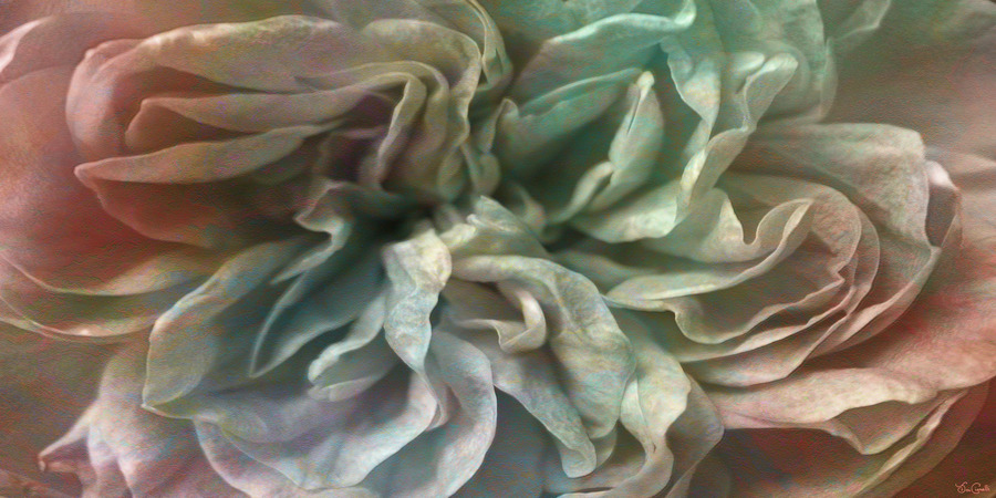 Flower Dance - Abstract Art by Jaison Cianelli Wall Art