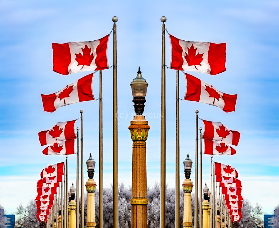 Canadian Flags by Mark Greschner Wall Art