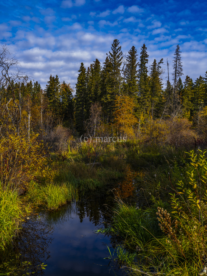 Northern Saskatchewan by Mark Greschner Wall Art