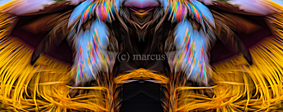 Grass Dance by Mark Greschner Wall Art