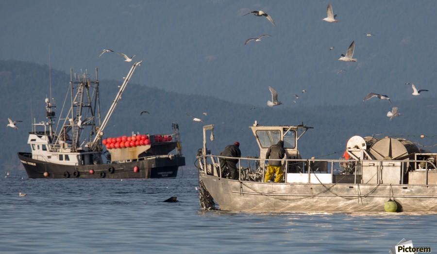 Big Set by Randy Hall by Randy Hall Wall Art