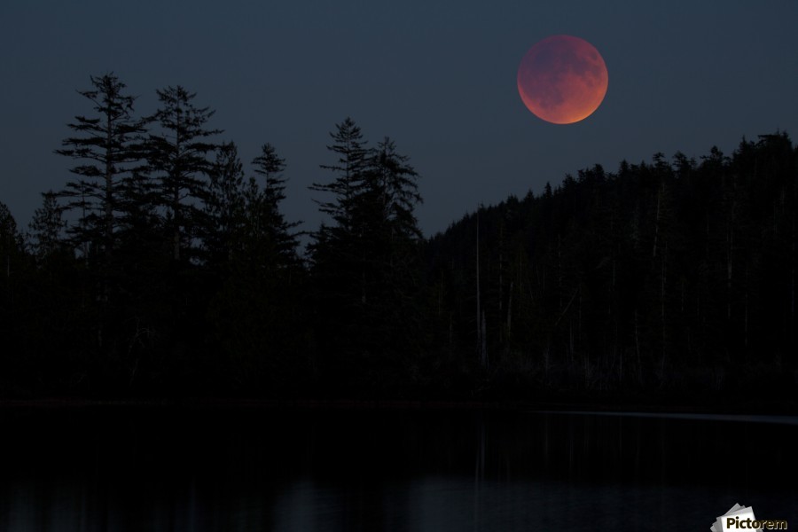 Blood Moon Over Fairy Lake by Randy Hall by Randy Hall Wall Art