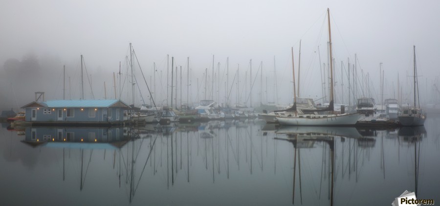 In A Fog by Randy Hall by Randy Hall Wall Art