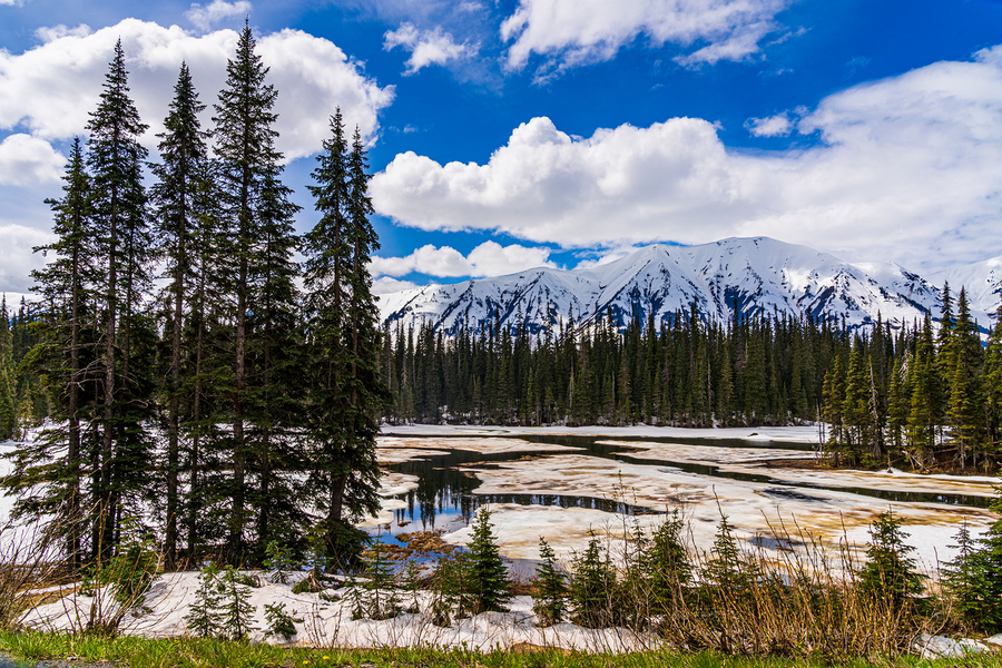 Cassier Highway View by Geoffrey Prior Wall Art