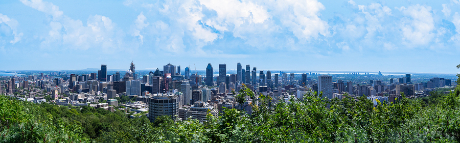Montreal Panorama by Geoffrey Prior Wall Art
