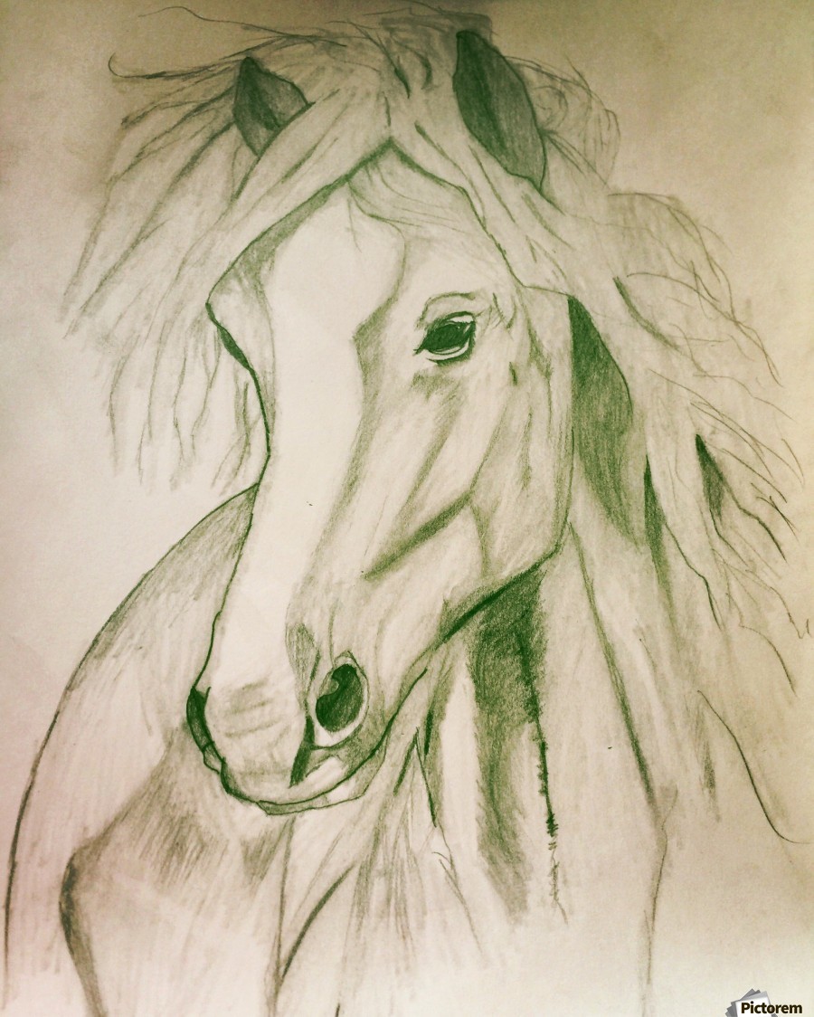 Mustang by Zejun Zhao Wall Art