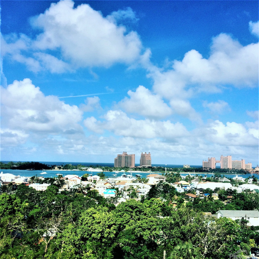 Paradise view 2 by Octover242 Wall Art