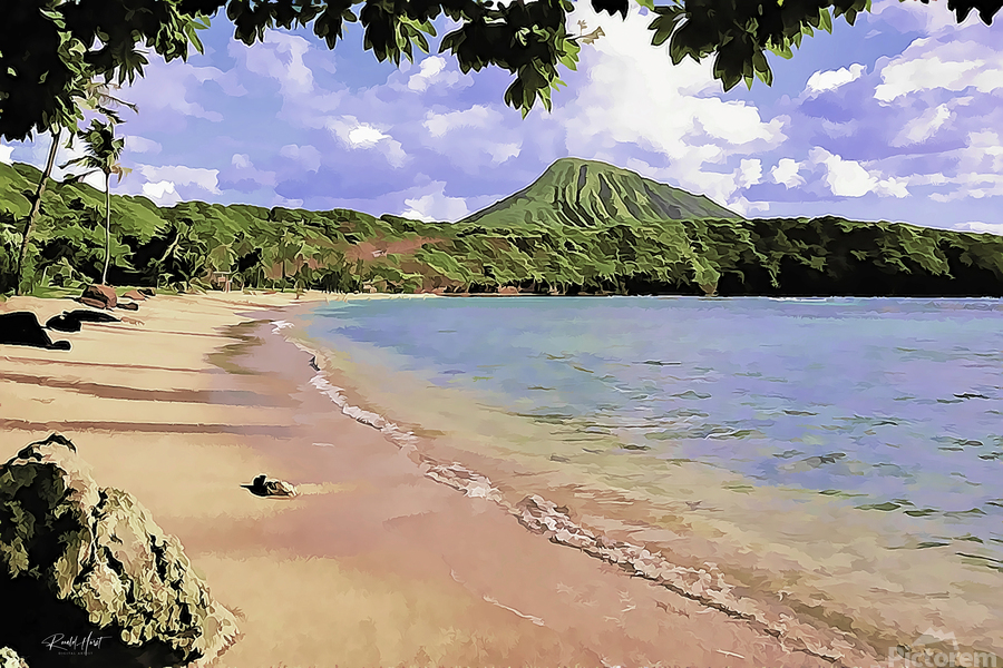 HBHawaii by Ronald Hurst Wall Art